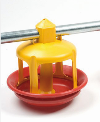 Duck feeding system | Feeding Systems | Products | Agromax